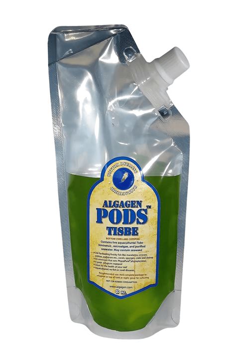 Copepods And Amphipods Key Differences And Their Role In Aquatic Ecos