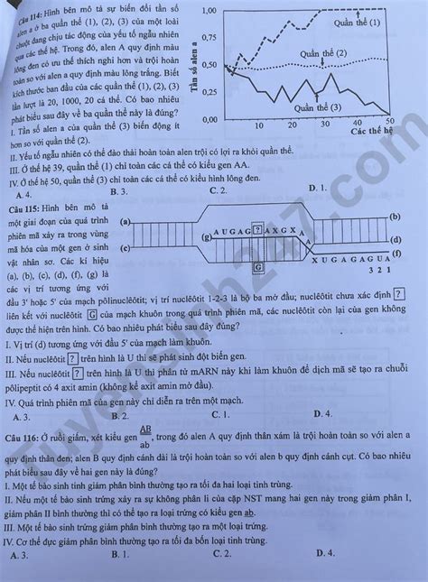 Đáp án đề Thi Tốt Nghiệp Thpt Môn Sinh Mã đề 224 Năm 2023