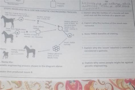 A Name The Genetic Engineering Process Studyx
