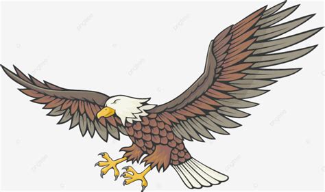 Eagle Attacking Vector Isolated Flying Vector Vector Isolated Flying