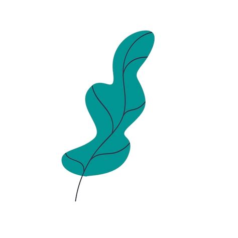 Botanical Leaf Of Flower Clipart Premium Vector