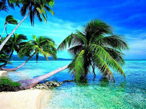 Beach View Wallpapers 4k Hd Backgrounds On Wallpaperbat