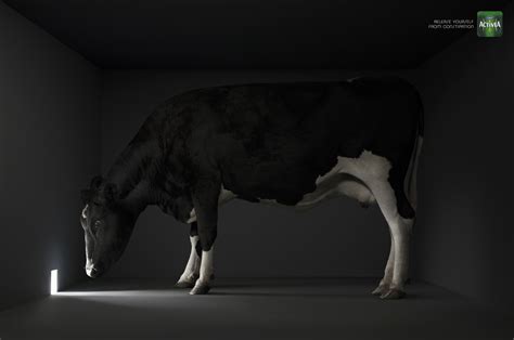 Copyranter These Are Bizarre Constipation Ads