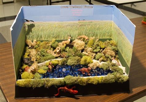 Pond Ecosystem Science Models