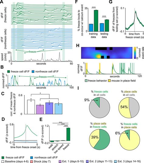 Freeze Cell Stability And Place Coding A A GLM Was Used To Identify Download Scientific