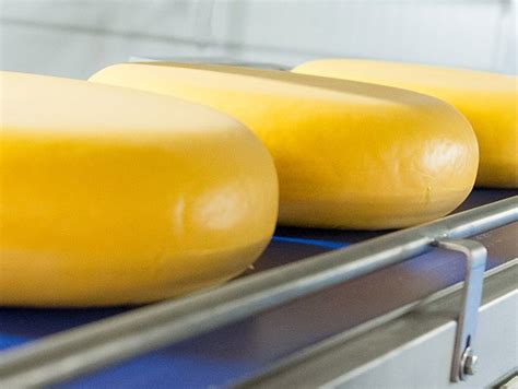 Doorstart Voor Doeschot