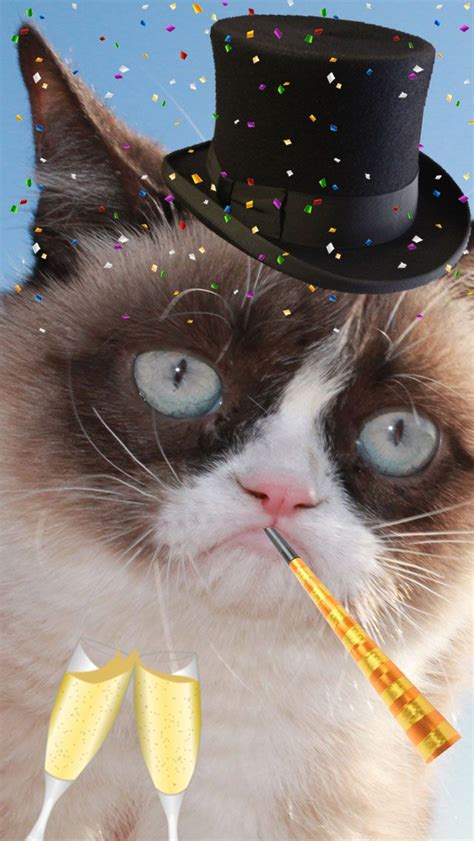 Happy New Year From Grumpy Cat Grumpy Cat Grumpy Cat Christmas