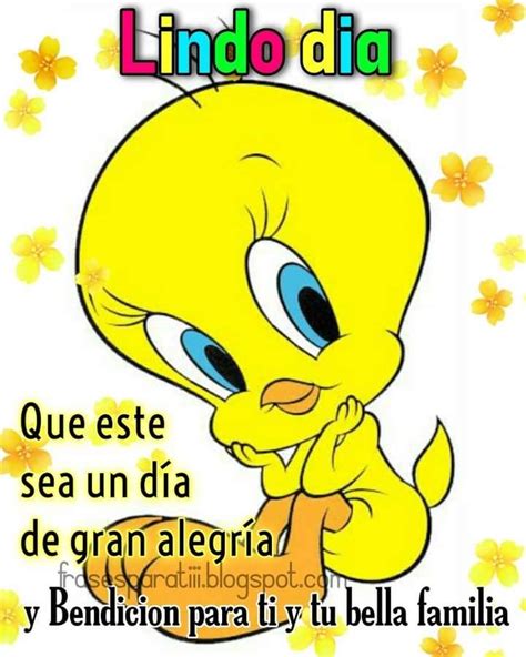Piolin Imagenes 8 Ideas De Bendiciones De Piolin Para Guardar Hoy Piolin Frases Piolín Y Más
