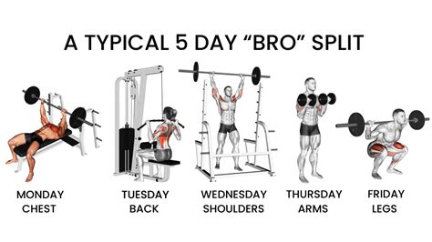 Bro Split Vs Ppl Training Programs Compared Inspire Us