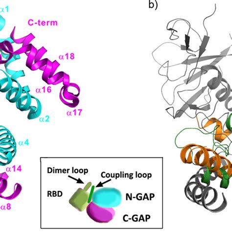 Structure Of The Intracellular Region Of Plexin B1 And Its Comparison