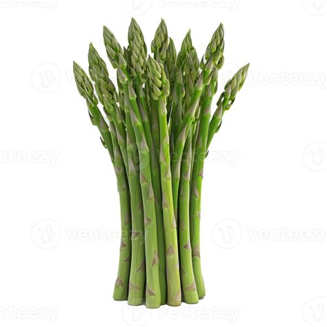 Fresh Green Asparagus Spears 49135765 Png