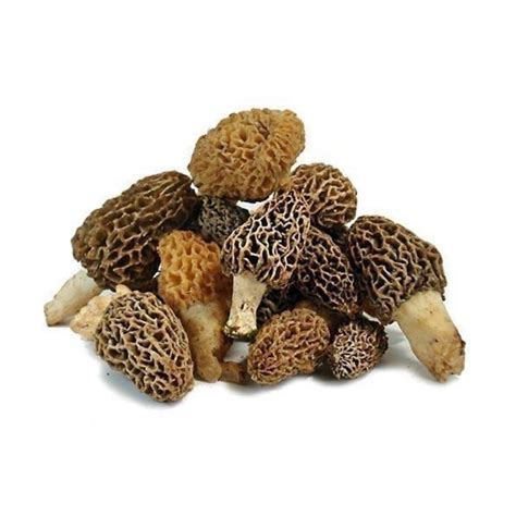 Buy Frozen Cultivated Morel Mushrooms Fresh And Wild