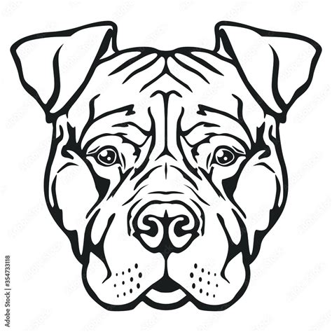 How To Draw A Pitbull Face Easy