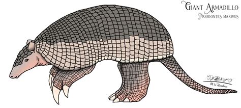 Giant Armadillo By Ognimdo2002 On Deviantart