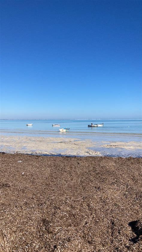 جمعية دار حسي الجربي Association Dar Hassi Jerbi