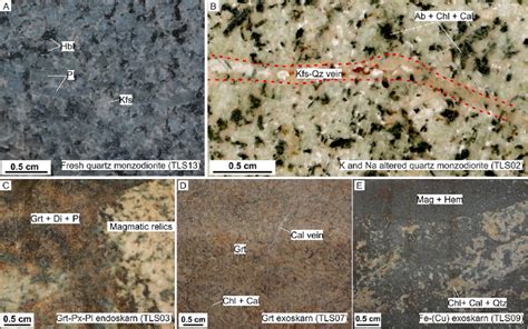 Photographs Of Representative Hand Specimens A Relatively Fresh Qmd