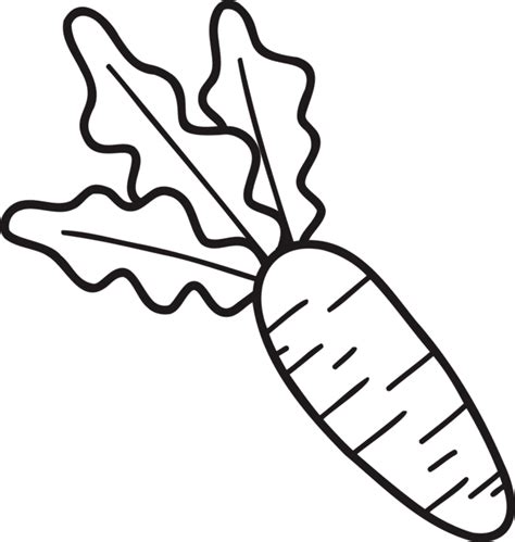 Vegetable Doodle Pngs For Free Download