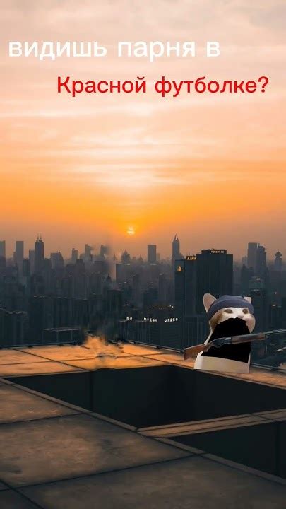 сталкер поп кет Youtube