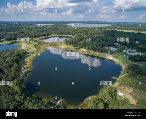 Waterfront Land For Sale In Ocala National Forest At Patricia Mancuso Blog