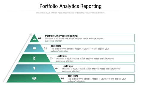Portfolio Analytics Reporting Ppt Powerpoint Presentation Summary