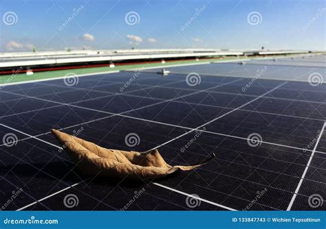 Dry Leaf On Solar Panel Surface Stock Image Image Of Cleaning Tree 133847743