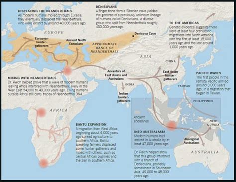Ancient West Eurasians And Their Genetic Legacy By Jacob Harringer
