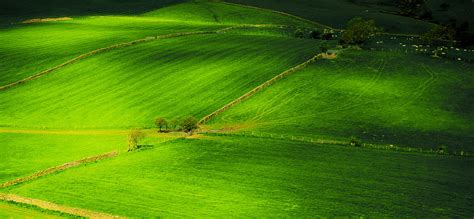 关于四川睿恒 四川睿恒化工有限公司