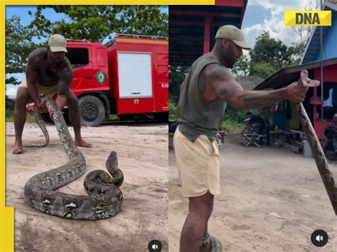 Viral Video Man Provokes Massive Python Faces Backlash For Reckless