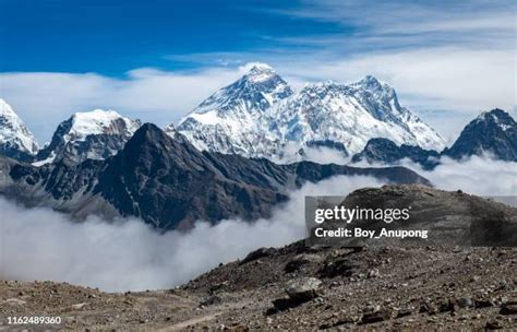 Border Ranges National Park Photos And Premium High Res Pictures