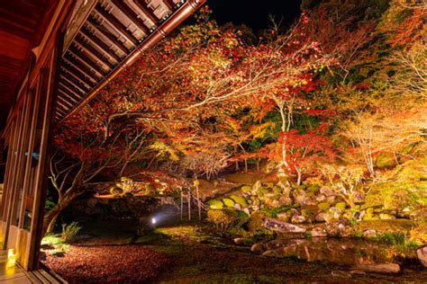 Taisuke Mizuguchi Photos Images Assets Adobe Stock
