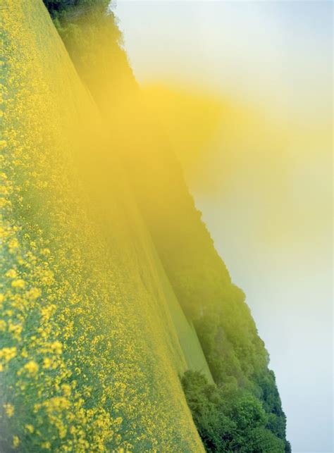 Paul Rousteau Nature Photography Photography Art Photography