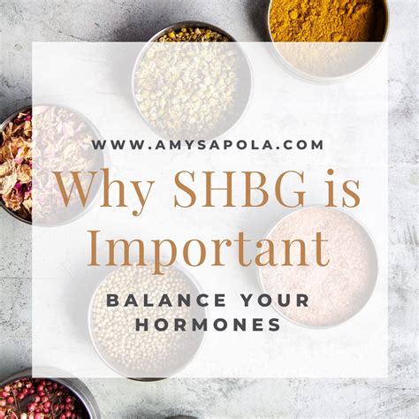 Dr Amy Sapola Pharmd Faihm Ifmcp First You Might Be Asking What On Earth Is Shbg Shbg Dr Amy Sapola Pharmd Faihm Ifmcp First You Might Be Asking What On Earth Is Shbg Shbg