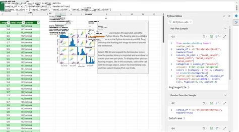 Excel 程式代碼編輯器中的 Python Microsoft 支援服務
