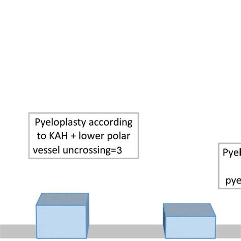 Distribution Of Patients By Surgical Procedure Download Scientific