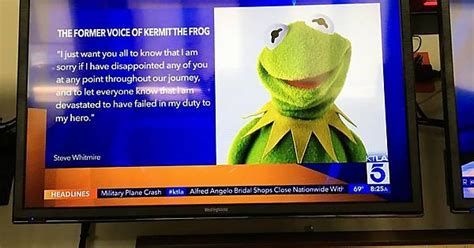 Ktla Was Doing A Story About The Voice Of Kermit Getting Fired But It