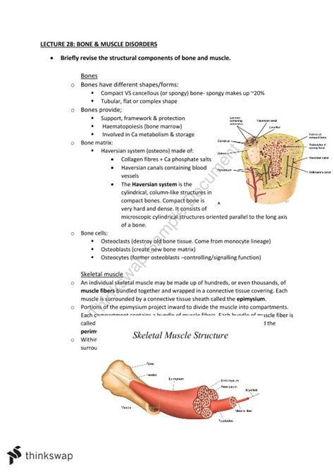 Human Pathophysiology Study Notes Hubs2505 Human Pathophysiology