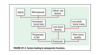 Osteoporosis Definition Evaluation And Management Pdf