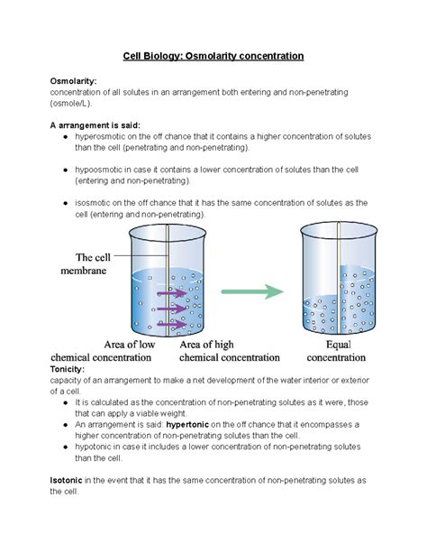 Cell Biology Osmolarity Concentration Cell Biology Osmolarity