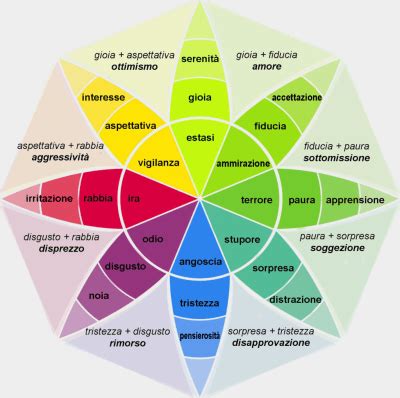 Come Sceglie Il Nostro Cervello Il Circuito Delle Emozioni Nella Tua
