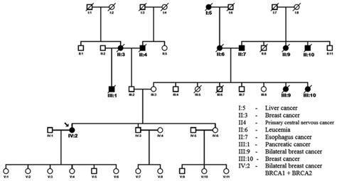 First Description Of A Double Heterozygosity For Brca1 And Brca2