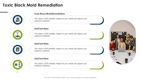 Toxic Black Mold Remediation In Powerpoint And Google Slides Cpp PPT Sample