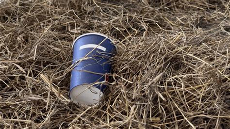 GO-GRASS - Kreislaufwirtschaftsmodelle auf der Basis von Gras - GO-GRASS