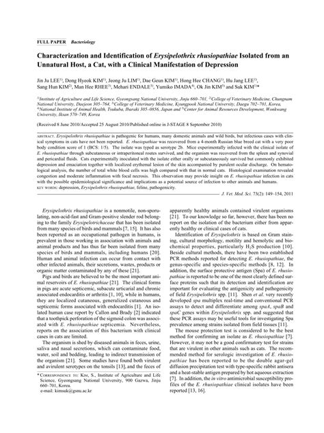 Pdf Characterization And Identification Of Erysipelothrix