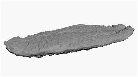 3d Dory Fish Steak 3d Print Model Turbosquid 2295234