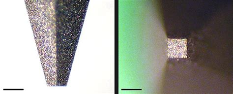 Arrayit Green Mp6 Microarray Printing Pins 150 µm Tip With 01 µl