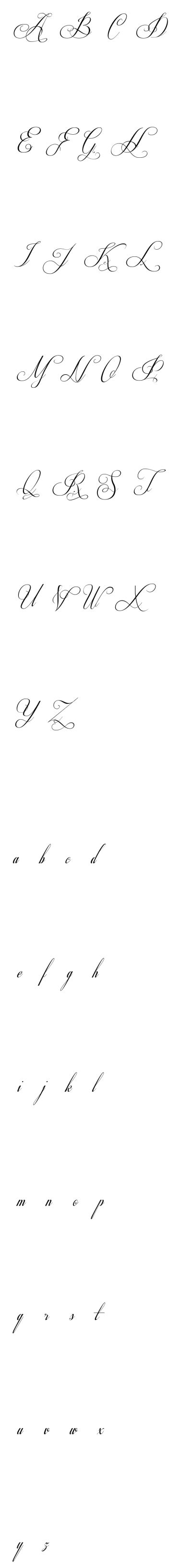 花体 高清图片，堆糖，美图壁纸兴趣社区