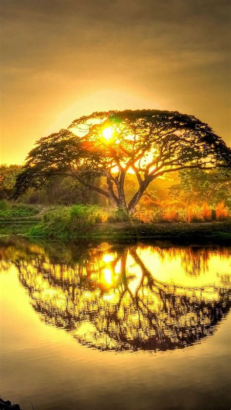 Cool Nature Hd Iphone Wallpapers Top Free Cool Nature Hd Iphone