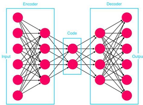 Schematic Diagram Of Autoencoder Where All Parameters Are