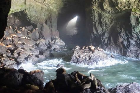 15 Incredible Caves In Oregon From Popular To Hidden Treasures The