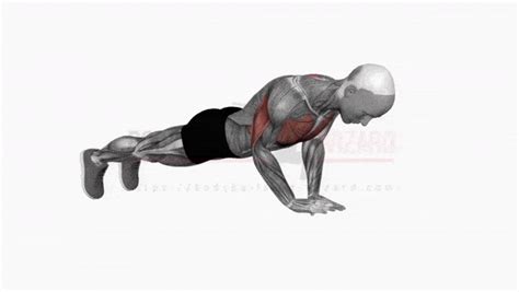 The 7 Best Exercises To Build Monster Triceps Chosen By Experts